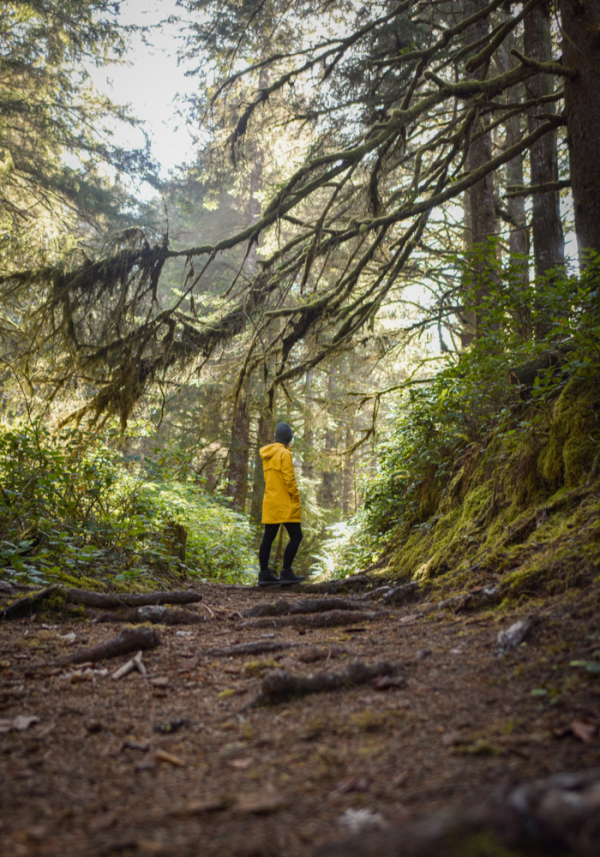 10 Best Hiking Trails Along the Oregon Coast • Reckless Roaming